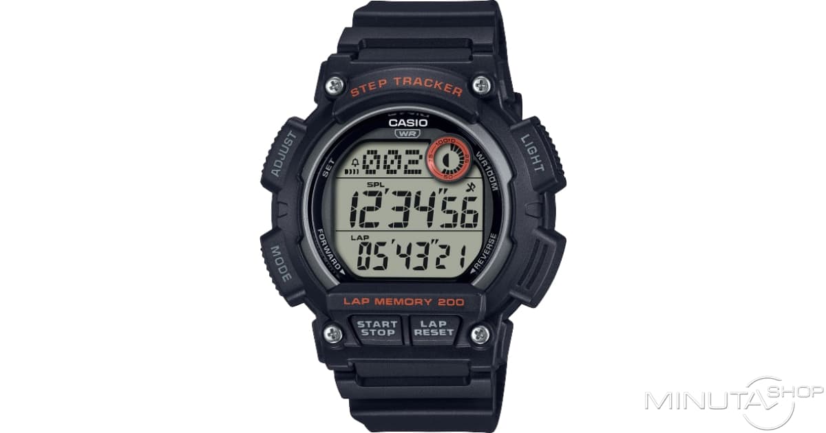 Casio Collection WS-2100H-1A